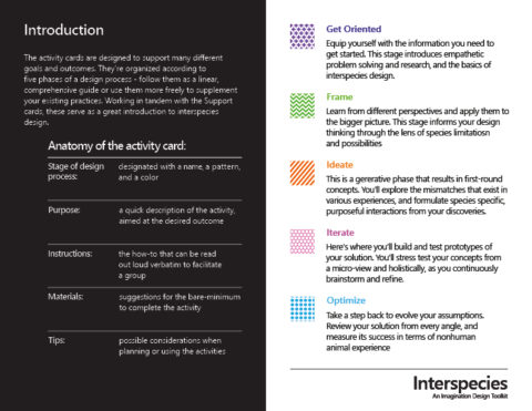 Interspecies Activity Cards – Interspecies Design