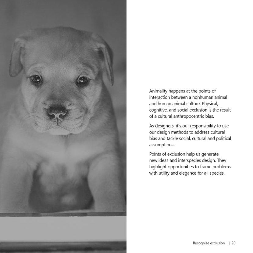 Interspecies Toolkit – Interspecies Design