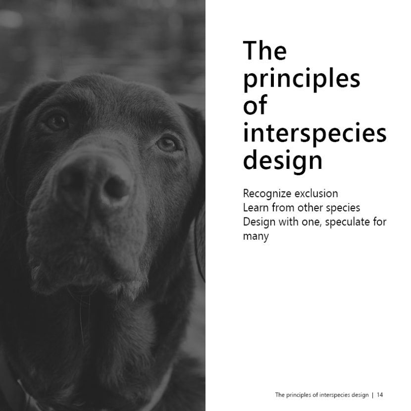 Interspecies Toolkit – Interspecies Design